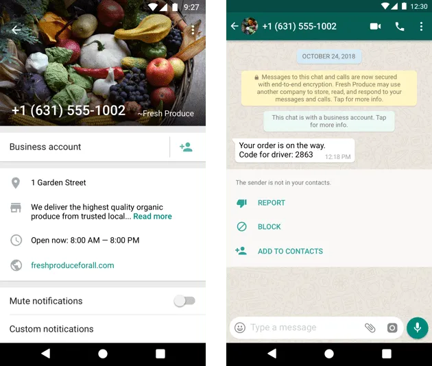 Qué es la API de WhatsApp y cómo usarla en tu negocio | Brevo